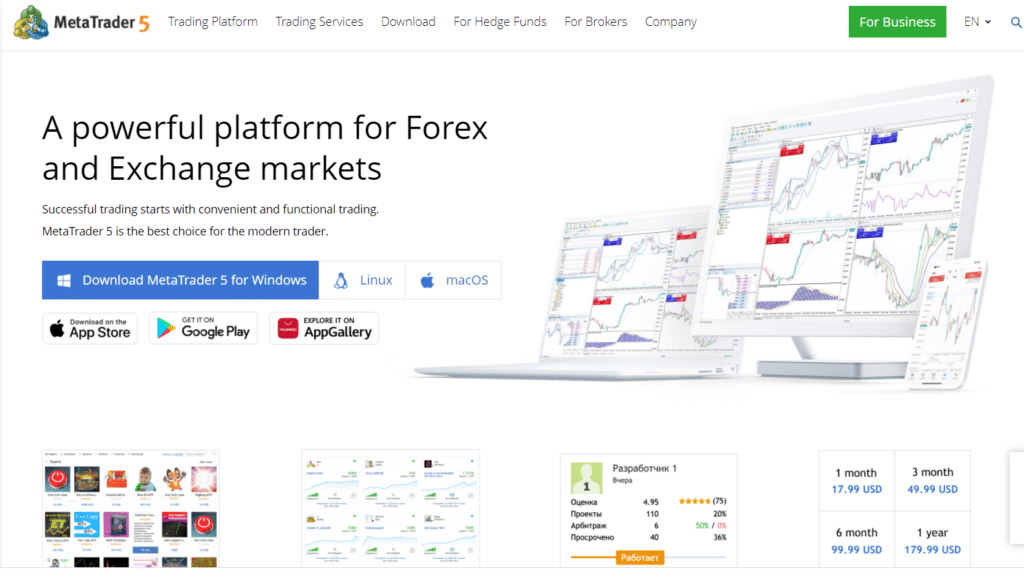 Your Guide to MT5 - Forex Robot Expert